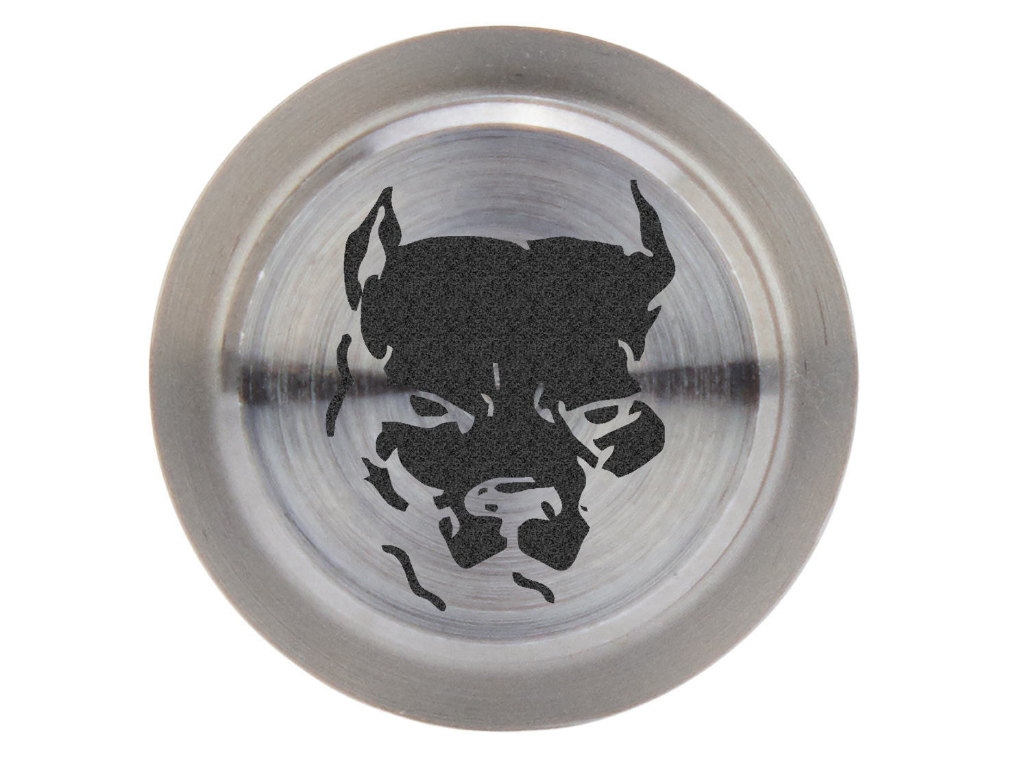 Recoil Spring Plug for 1911, 5" Stainless Steel Silver, Choose Laser ...