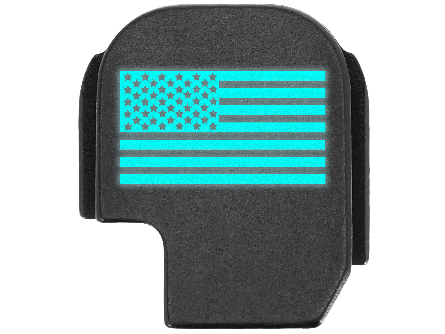 NDZ Sig P365, XL, Fuse, X Macro, AXG Slide Cover Back Plate Glow In The ...